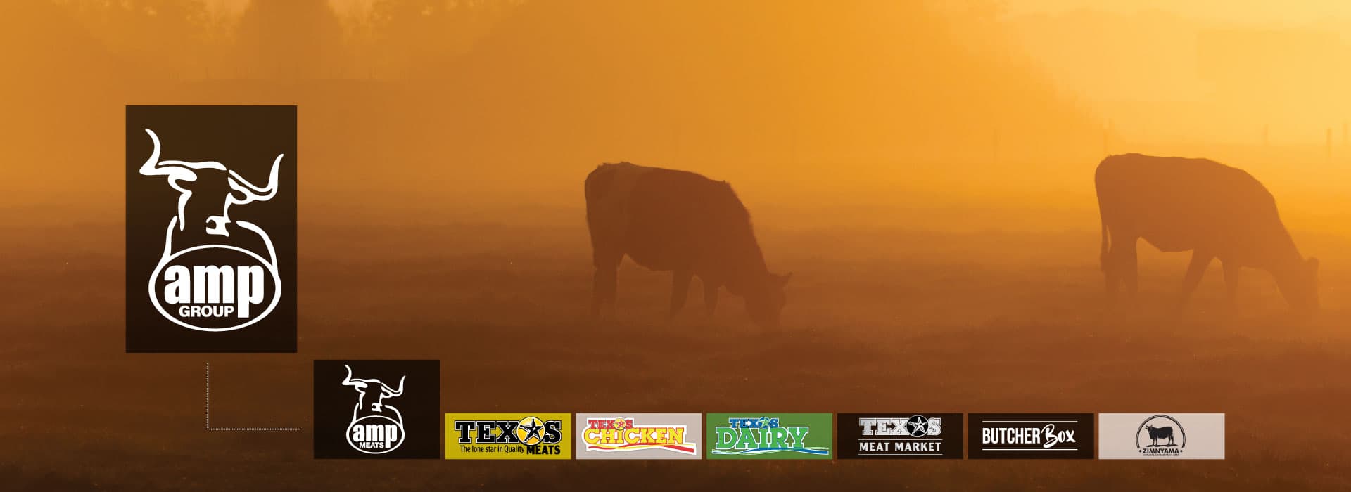 Discover AMP Meats | Our Profile